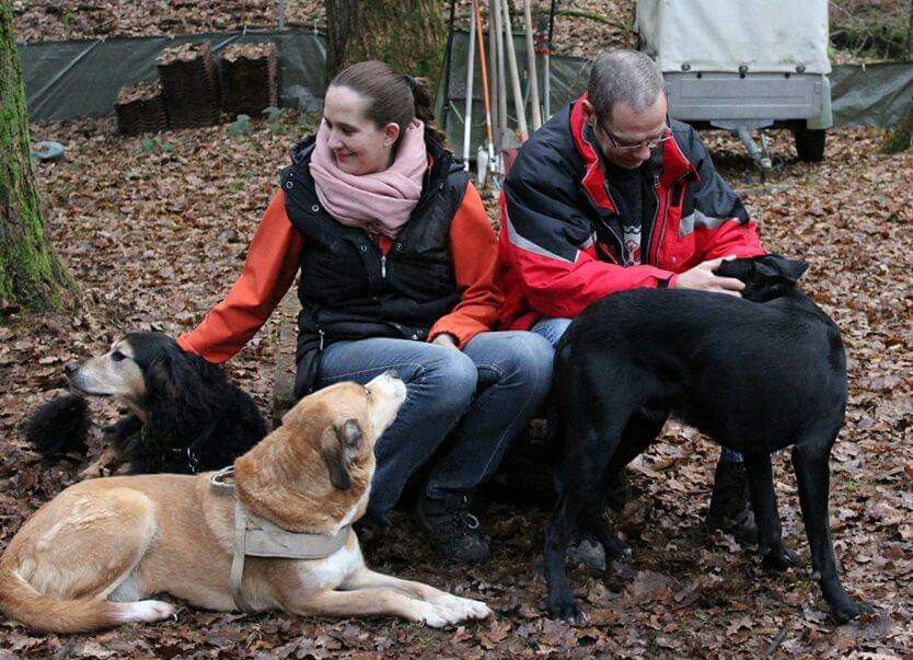 Pflegestellen - Vivalahund